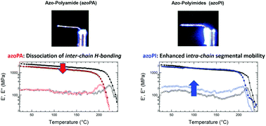 氢键对偶氮苯官能化聚酰胺光机械响应的贡献 † ,Journal of Materials Chemistry C - X-MOL