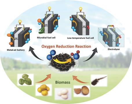 Advanced Biomass‐Derived Electrocatalysts for the Oxygen Reduction Reaction,Advanced Materials ...