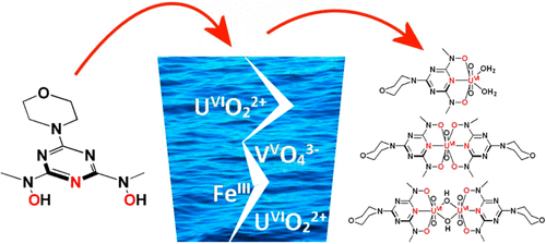 Bis(hydroxylamino)triazines: High Selectivity and Hydrolytic Stability ...