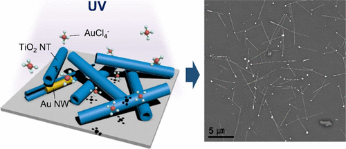 Nanometer Scale Confined Growth of Single-Crystalline Gold Nanowires ...