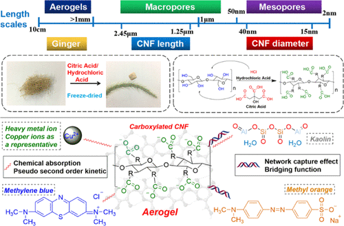 High Aspect Ratio Carboxylated Cellulose Nanofibers Cross-linked to ...