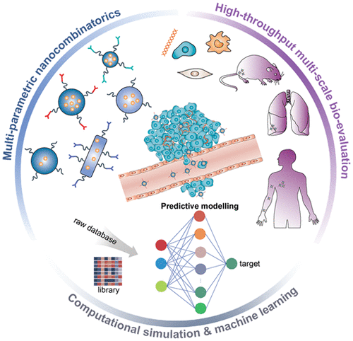 Combinatorial Nano–Bio Interfaces,ACS Nano - X-MOL