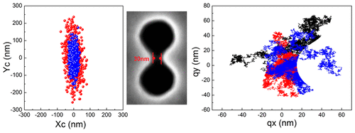 Direct Particle Tracking Observation and Brownian Dynamics Simulations ...