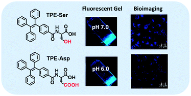 Fluorescent supramolecular hydrogels self-assembled from ...