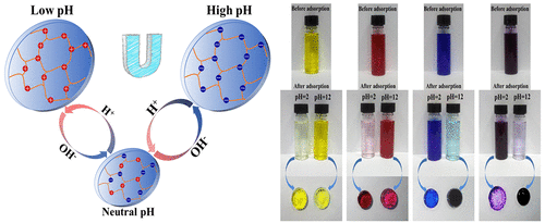 Bidirectionally pH-Responsive Zwitterionic Polymer Hydrogels with ...