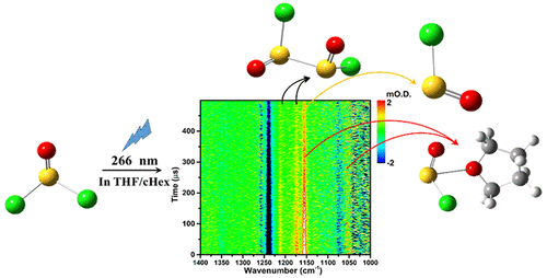 Does Tetrahydrofuran (THF) Behave like a Solvent or a Reactant in the ...
