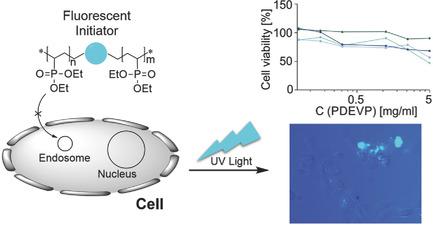 Studies on the Biocompatibility of Poly(diethyl vinyl‐phosphonate) with ...