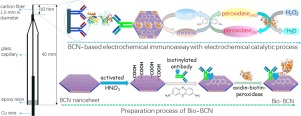 Thionine-coordinated BCN nanosheets for electrochemical enzyme ...