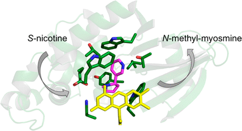 Crystallography Coupled with Kinetic Analysis Provides Mechanistic ...