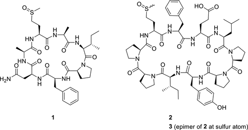 Cyclopeptides from the Sponge Stylissa flabelliformis,Journal of ...