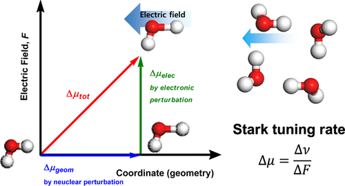 Electronic and Nuclear Contributions to Vibrational Stark Shifts of ...