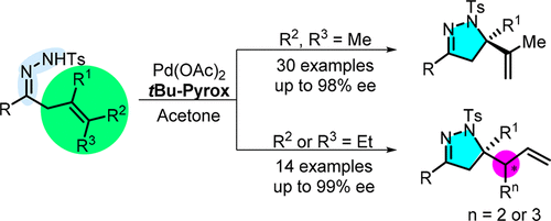Asymmetric Aza-Wacker-type Cyclization of N-Ts Hydrazine-Tethered ...