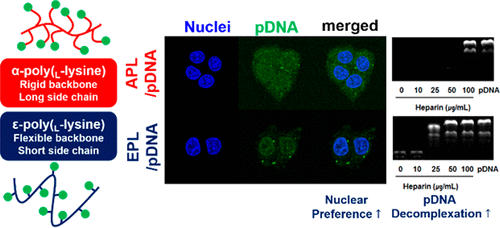 Effects of the Physicochemical, Colloidal, and Biological ...