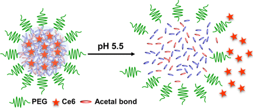 Acetal-Linked Hyperbranched Polyphosphoester Nanocarriers Loaded with ...