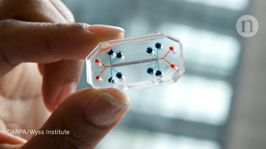 干细胞培养迈向三维,Nature - X-MOL