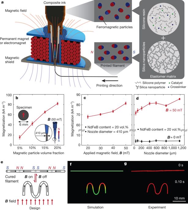 Printing ferromagnetic domains for untethered fast-transforming soft materials,Nature - X-MOL