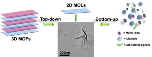 Synthetic Strategies for Constructing Two‐Dimensional Metal‐Organic ...