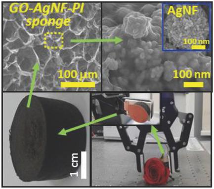 Silver Nanoflower Decorated Graphene Oxide Sponges for Highly Sensitive ...