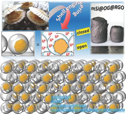 Scallop‐Inspired Shell Engineering of Microparticles for Stable and ...