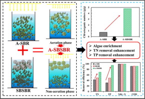 Performance and mechanism of a novel algal-bacterial symbiosis system ...