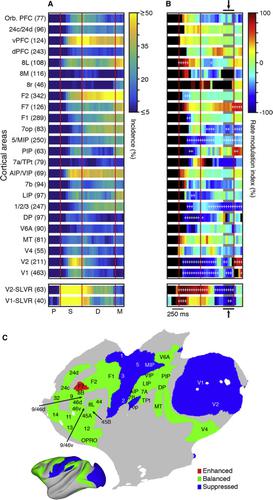 Feature-Based Visual Short-Term Memory Is Widely Distributed and Hierarchically Organized ...