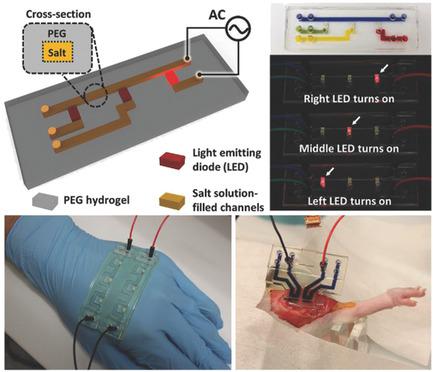 Programmable Hydrogel Ionic Circuits for Biologically Matched ...