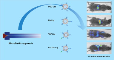 Microfluidic self-assembly of a combinatorial library of single- and ...