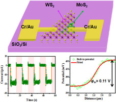 Self-powered photovoltaic photodetector established on lateral monolayer MoS2-WS2 ...