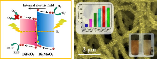 Bi2MoO6/BiFeO3 heterojunction nanofibers: Enhanced photocatalytic activity, charge separation ...