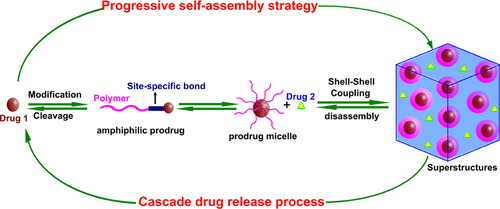 Prodrug-Based Cascade Self-Assembly Strategy for Precisely Controlled ...