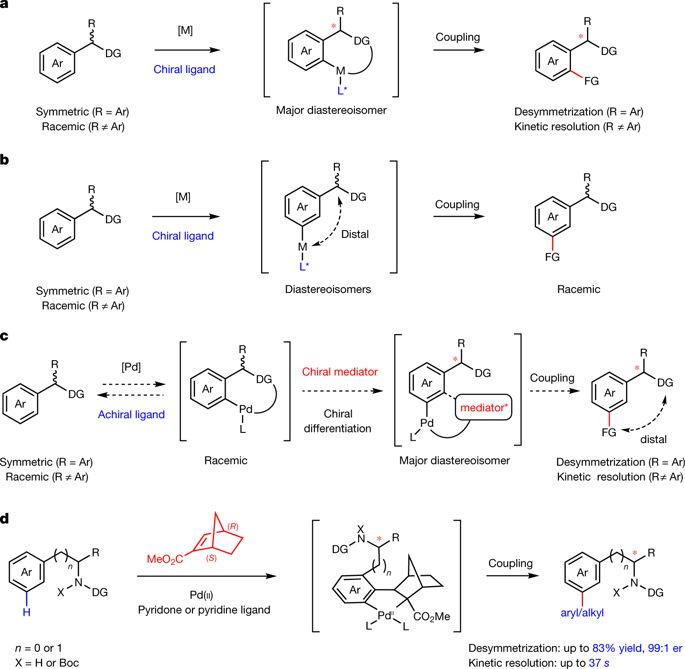 Enantioselective remote meta-C–H arylation and alkylation via a chiral transient mediator,Nature ...