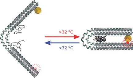 Thermo‐Responsive Actuation of a DNA Origami Flexor,Advanced Functional ...