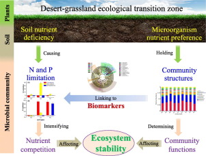 Responses of soil microbial communities to nutrient limitation in the desert-grassland ...