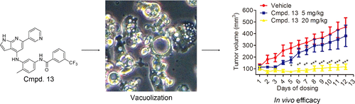 Discovery and Identification of Small Molecules as Methuosis Inducers ...