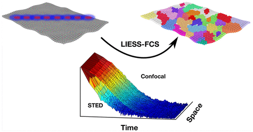 Nanoscale Spatiotemporal Diffusion Modes Measured by Simultaneous ...