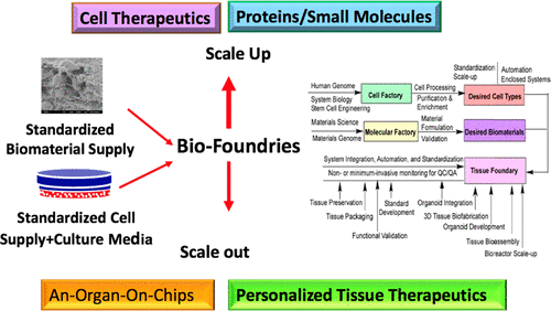 Advanced Cell and Tissue Biomanufacturing,ACS Biomaterials Science ...