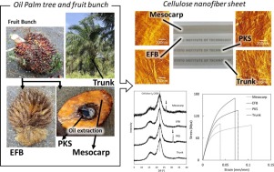 Comparison of cellulose nanofiber properties produced from different ...