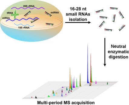 Existence of Diverse Modifications in Small-RNA Species Composed of 16 ...