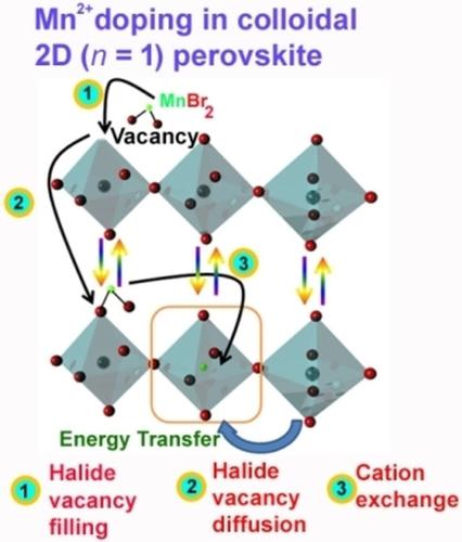 Colloidal Mn2+ Doped 2D (n =1) Lead Bromide Perovskites: Efficient ...
