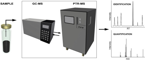 PTR-MS 和 GC-MS 作为挥发物分析的补充技术：教程回顾,Analytica Chimica Acta - X-MOL