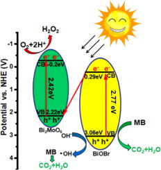 A novel Z-scheme Bi 2 MoO 6 /BiOBr photocatalyst for enhanced ...