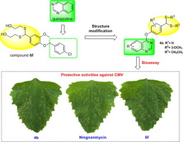Syntheses, antiviral activities and induced resistance mechanisms of ...