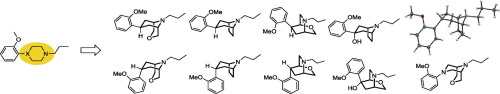 Design and synthesis of bridged piperidine and piperazine isosteres ...