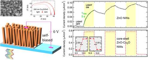ZnO-Cu2O core-shell nanowires as stable and fast response photodetectors,Nano Energy - X-MOL