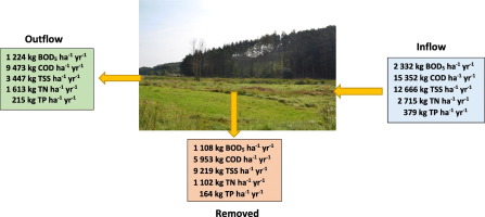 Treatment of a small stream impacted by agricultural drainage in a semi ...