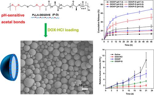 Tumor-pH-Sensitive PLLA-Based Microsphere with Acid Cleavable Acetal ...