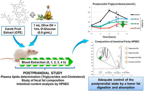 Effects of Fiber Purified Extract of Carob Fruit on Fat Digestion and ...