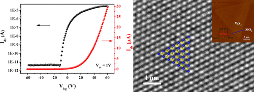 Two-Dimensional High-Quality Monolayered Triangular WS2 Flakes for ...