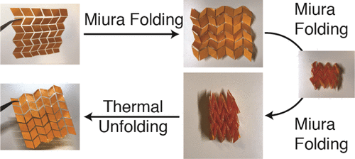Thermoreversible Folding as a Route to the Unique Shape-Memory ...
