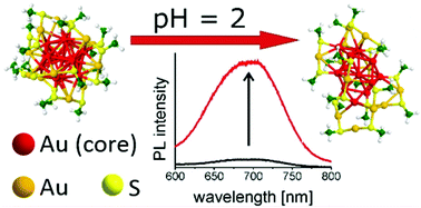 pH-Induced transformation of ligated Au25 to brighter Au23 nanoclusters†,Nanoscale - X-MOL